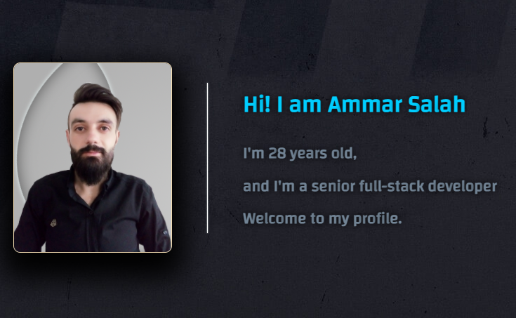 Ammar Salah | Portfolio